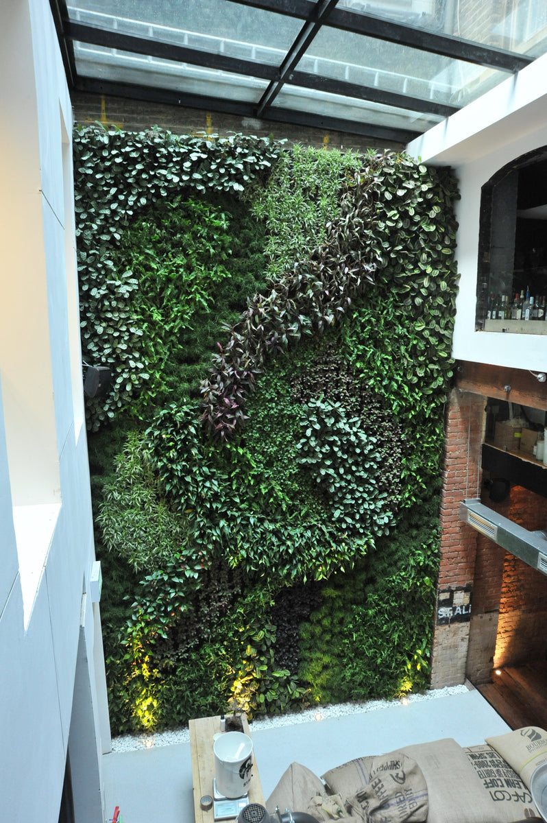 Soil vs Hydroponics: Which is better for living walls? – Future ECOsystems