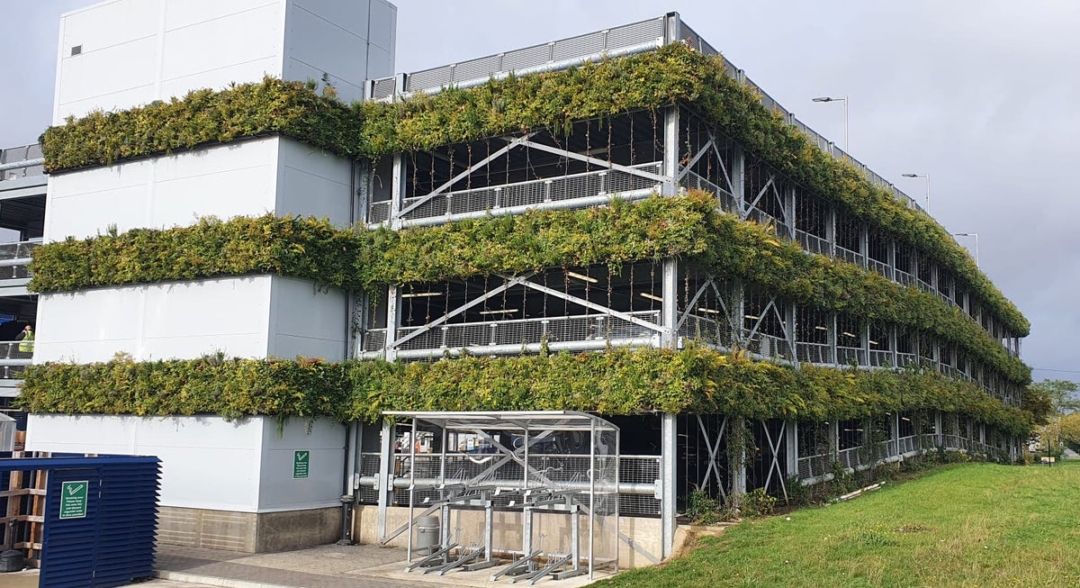 The benefits of green walls for urban biodiversity – Future ECOsystems